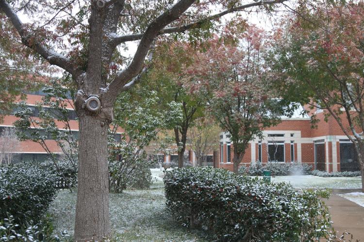 Winter weather arrives on OU's campus | Gallery | oudaily.com