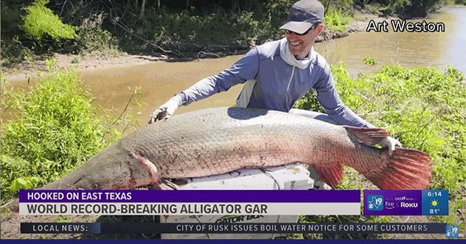 Huge Alligator Gar believed to be 100 years-old | Lifestyles ...