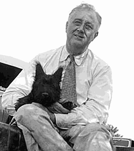 Stories From the Past: Fala, the dog who was a Roosevelt | Lifestyles ...