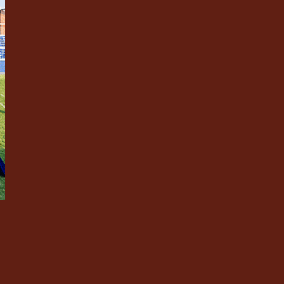 2024 Jr. Wildcats Homecoming & Football queens & Attendants | Sports ...