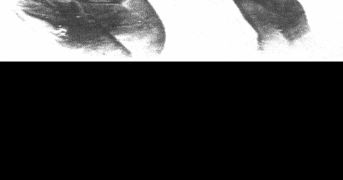 Stories From the Past - Josiah Gregg, born in Overton County ...