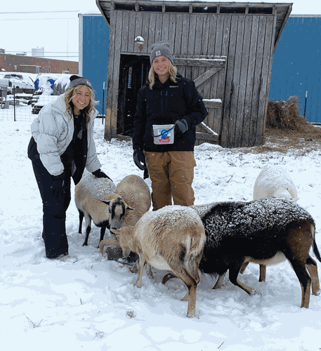 First winter snowfall covers Overton County | Lifestyles ...