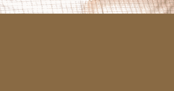 John Mark Windle announces bid for re-election to State House | Local ...