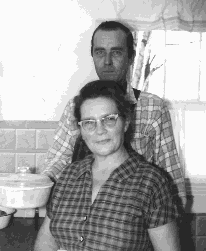 Stories From the Past - The Ledbetter Family With Nine Children ...