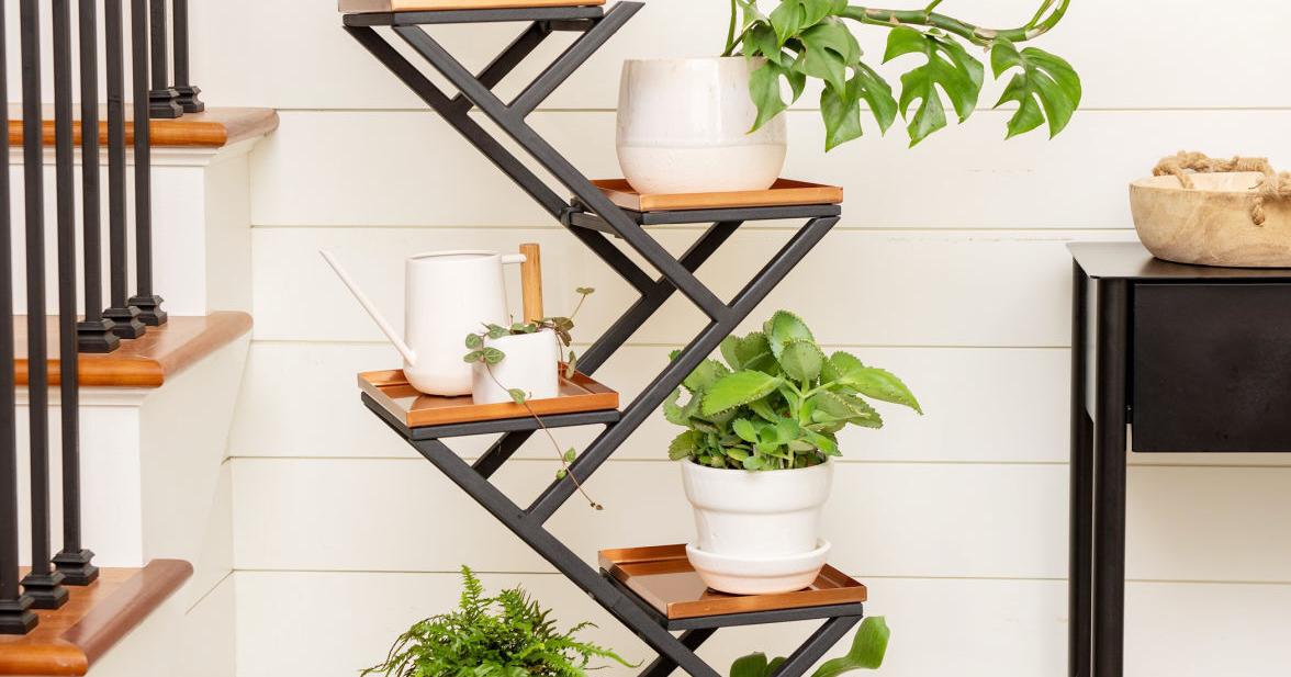 Beautify your home with a bit of greenery | News | paragoulddailypress.com