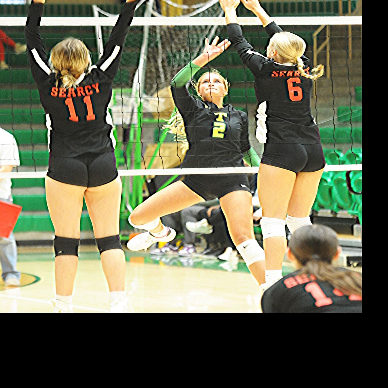 Dealing With Tree Surface Roots News Paragoulddailypress