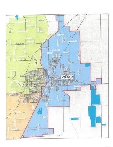 Council formally adopts redistricting maps | News | paragoulddailypress.com