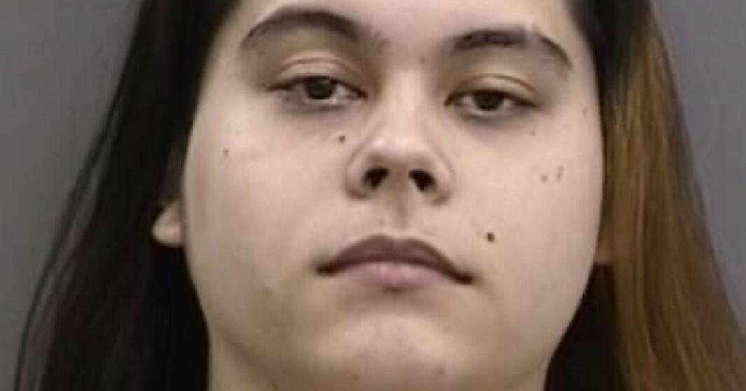 Hillsborough County Deputies Arrest Man For Sex Crimes News