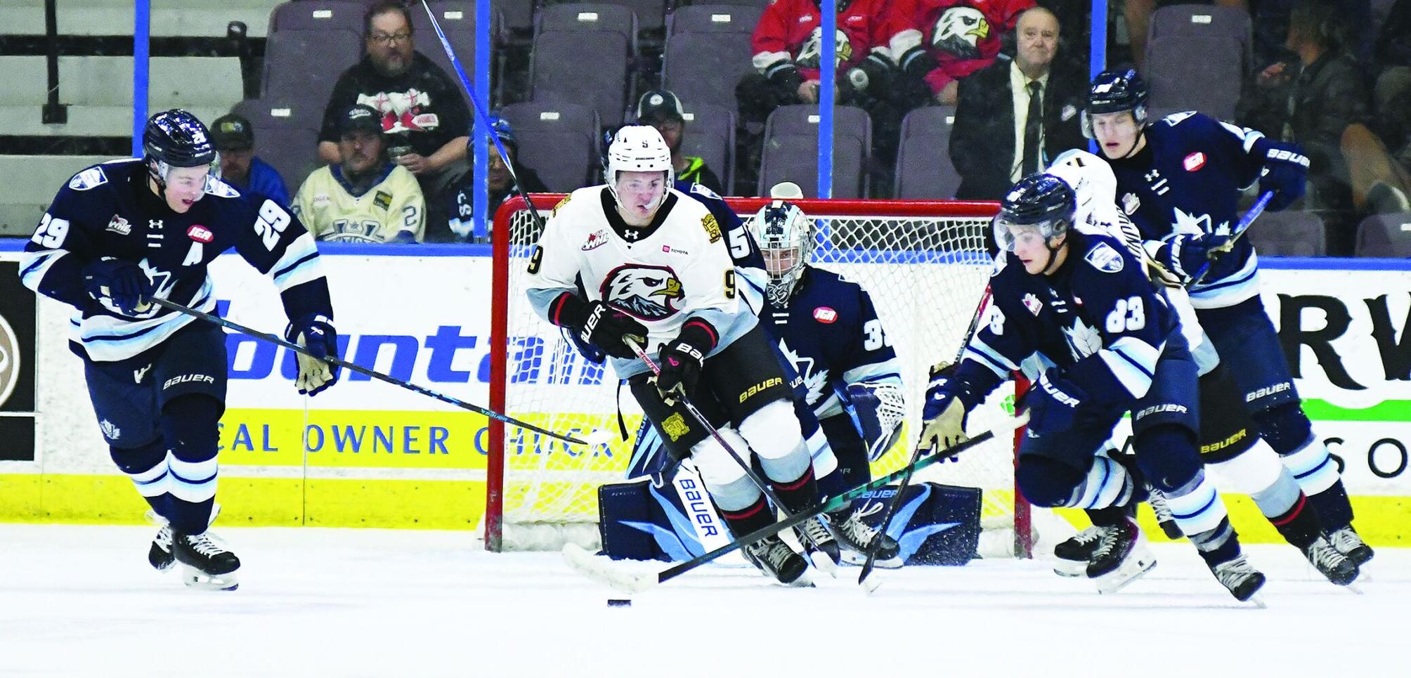 Meet the Vees... an expansion team that’s actually good | Sports ...