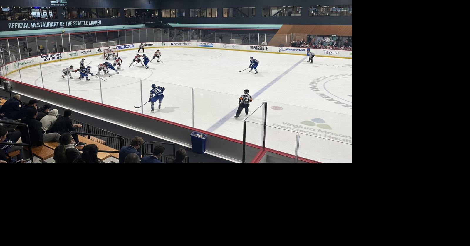 Vees, Vipers, Warriors win on Day 1 at BCHL showcase | Sports ...