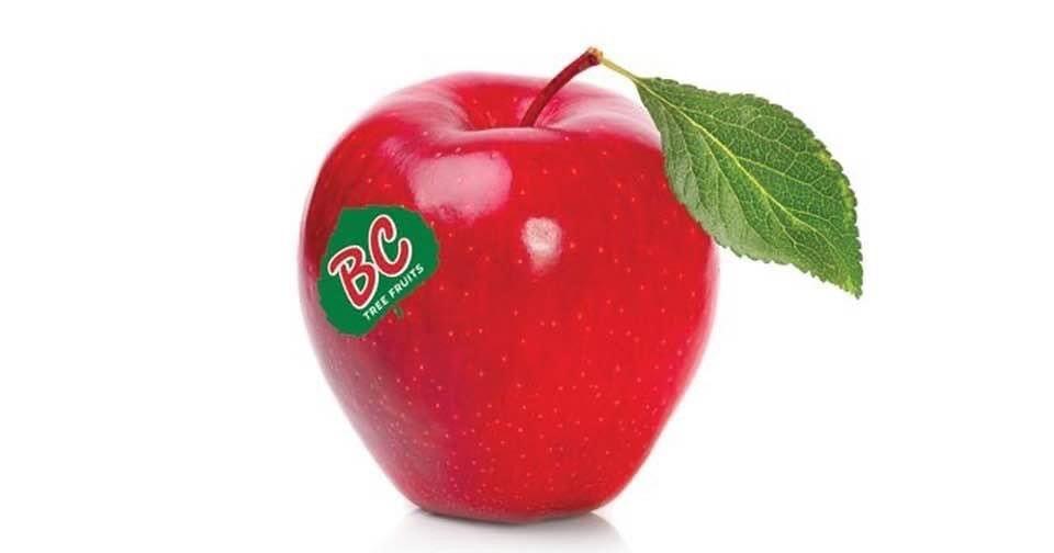 B.C. Tree Fruits Cooperative was valuable to Okanagan | News ...