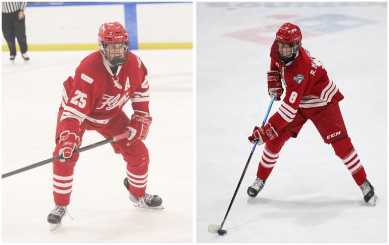 Local goalie, high-flying twins named to Vees roster | Sports ...
