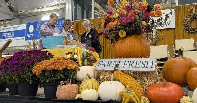 Community takes the day off to celebrate Elmvale Fall Fair | Spare News ...
