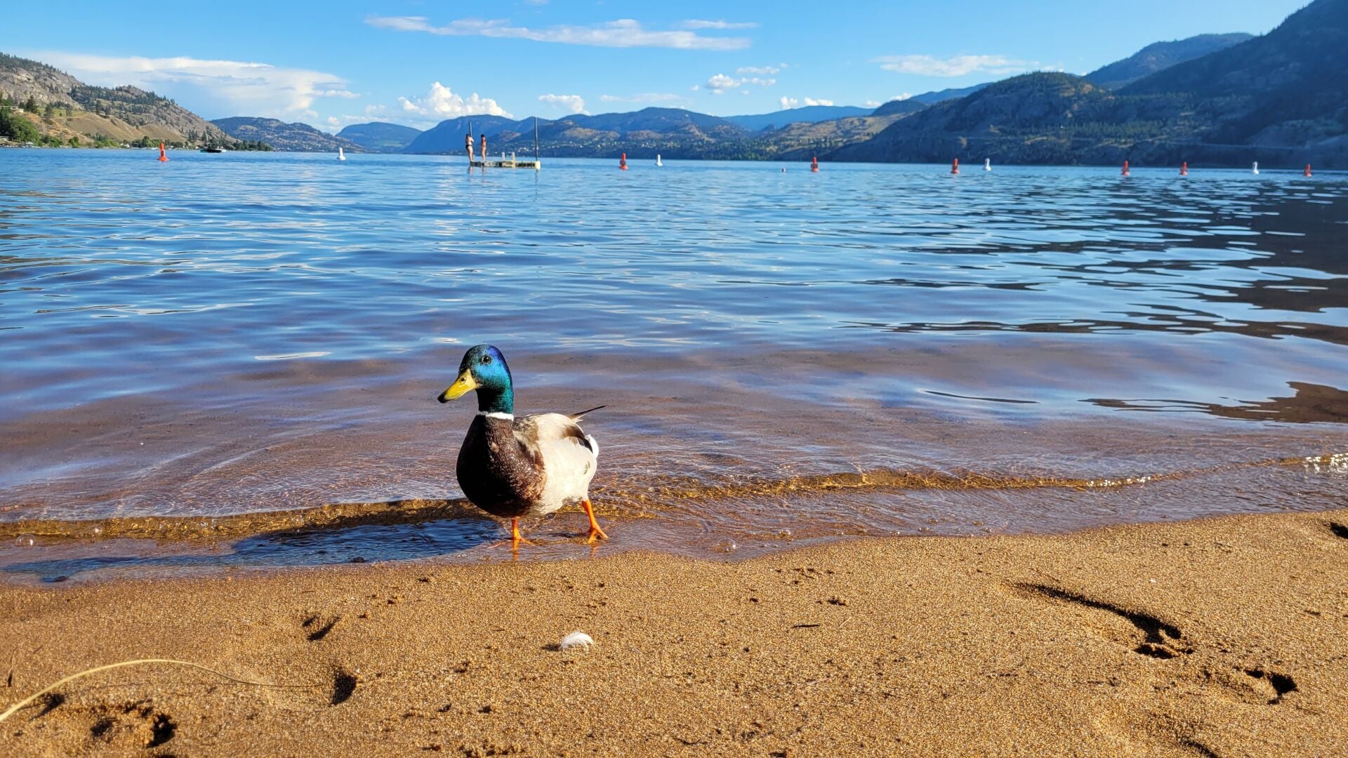 Keep your skin in mind while under the sun | Life | pentictonherald.ca