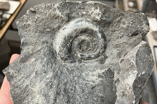 Yukon heritage resources hosting artifact identification event at ...