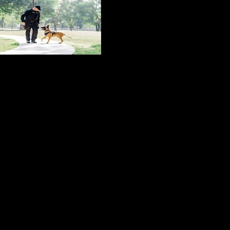 Beloved Brandon Police Service K9 Storm remembered for loyalty and ...