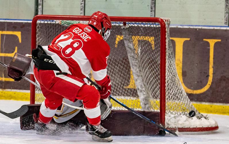 Vees sign pair of 15-year-old prospects | Sports | pentictonherald.ca