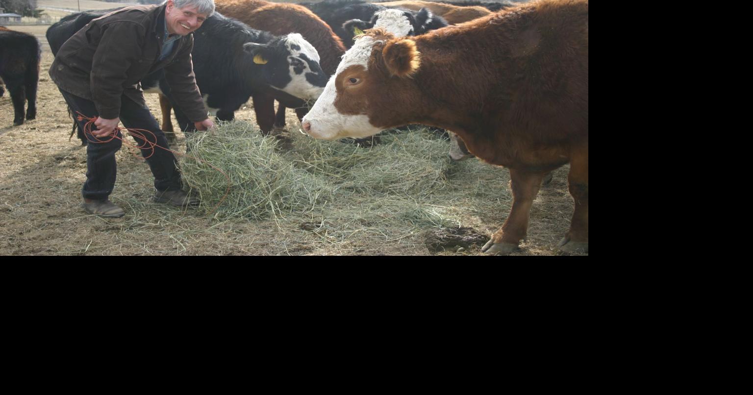 Meet Kevin Manders, a rancher from Summerland | Opinion ...
