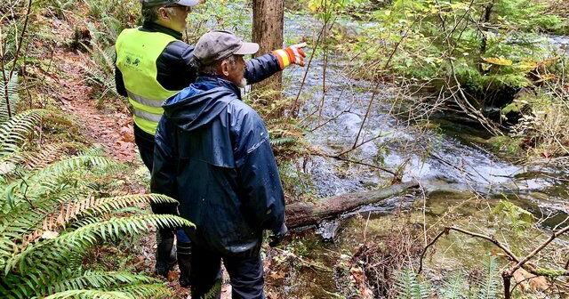 DFO 'legacy of neglect' leaves North Coast salmon to flounder | Spare ...