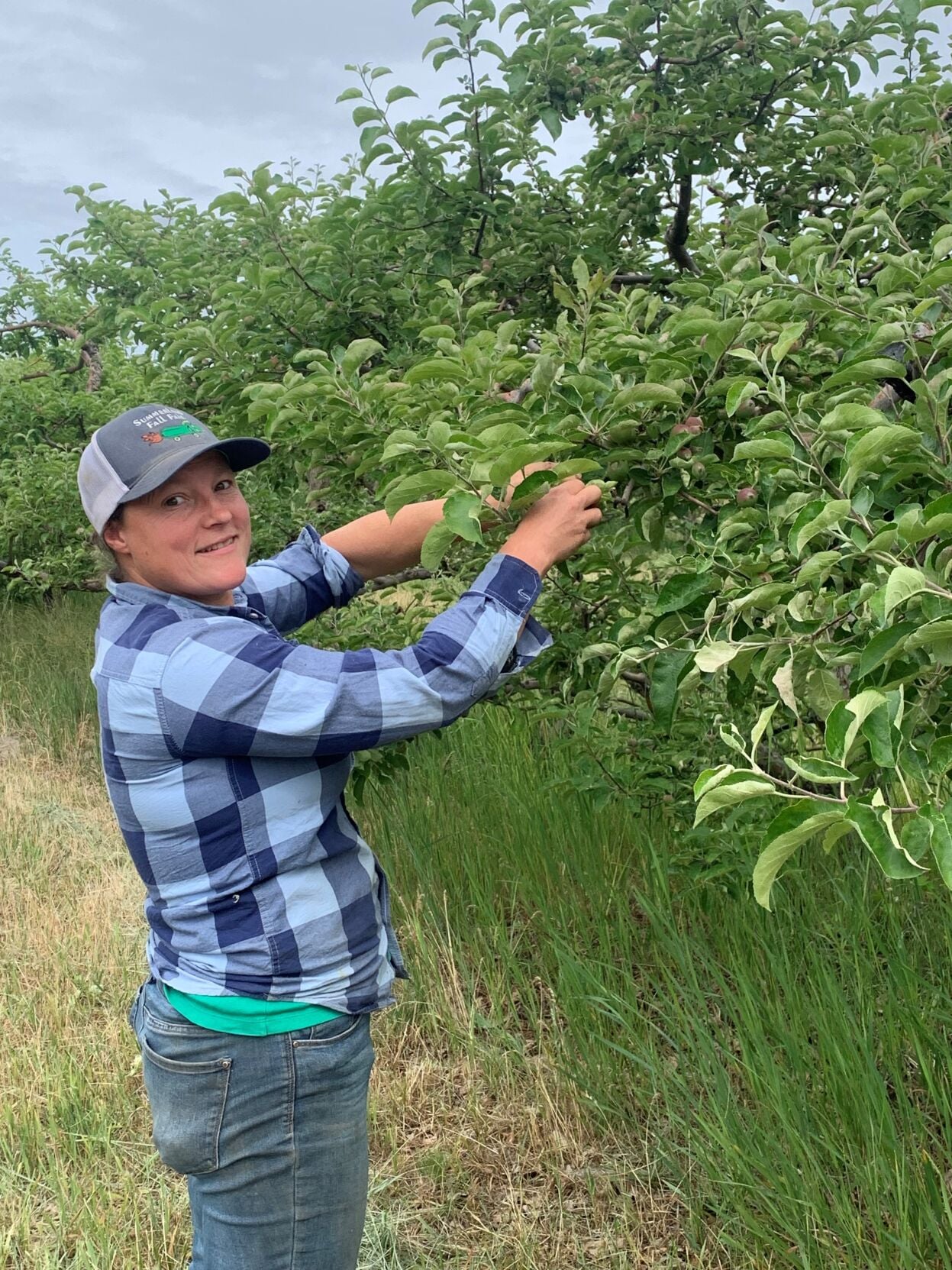 Inside Summerland's spray-free, polyculture farm | Life ...