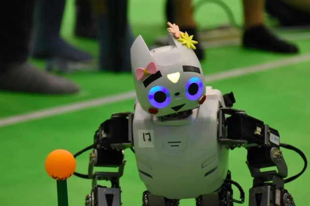 Markham hosts FIRA Canada Open 2025, with top 3 teams earning spot at ...