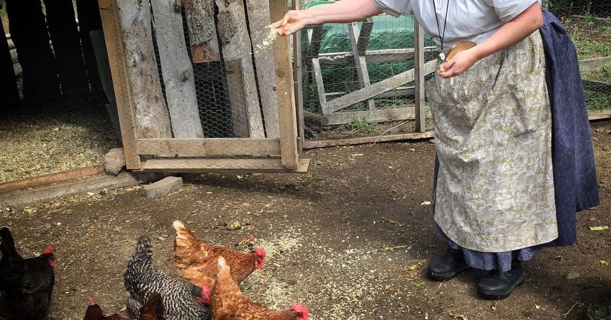 Fall Fair worth drive to Keremeos | News | pentictonherald.ca