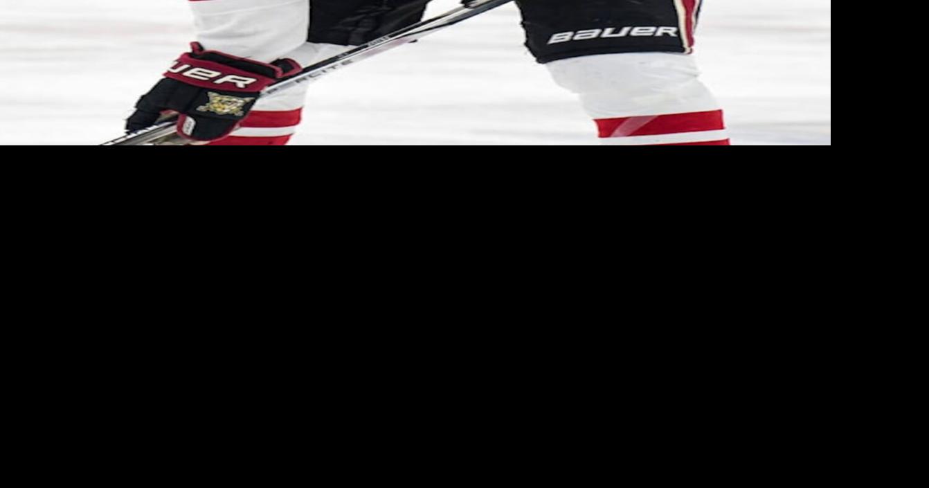 10 BCHL players make final rankings for 2025 NHL draft | Sports ...
