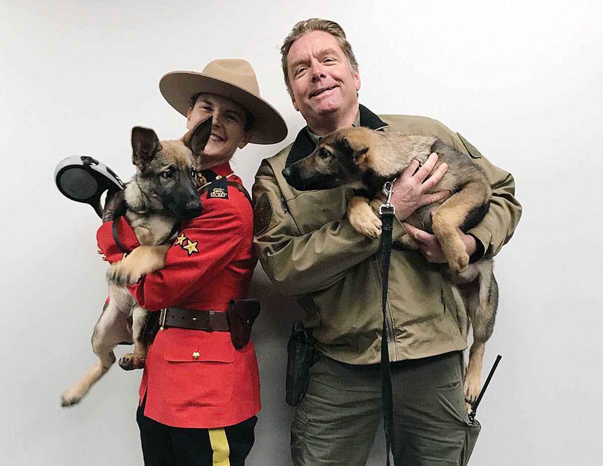 Can you help Cram the Kennel? | News | pentictonherald.ca