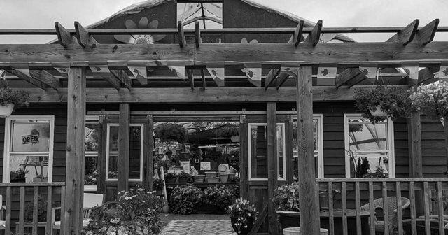 Potlotek First Nation acquires Greenhouse Co-op in St. Peter’s | Spare ...