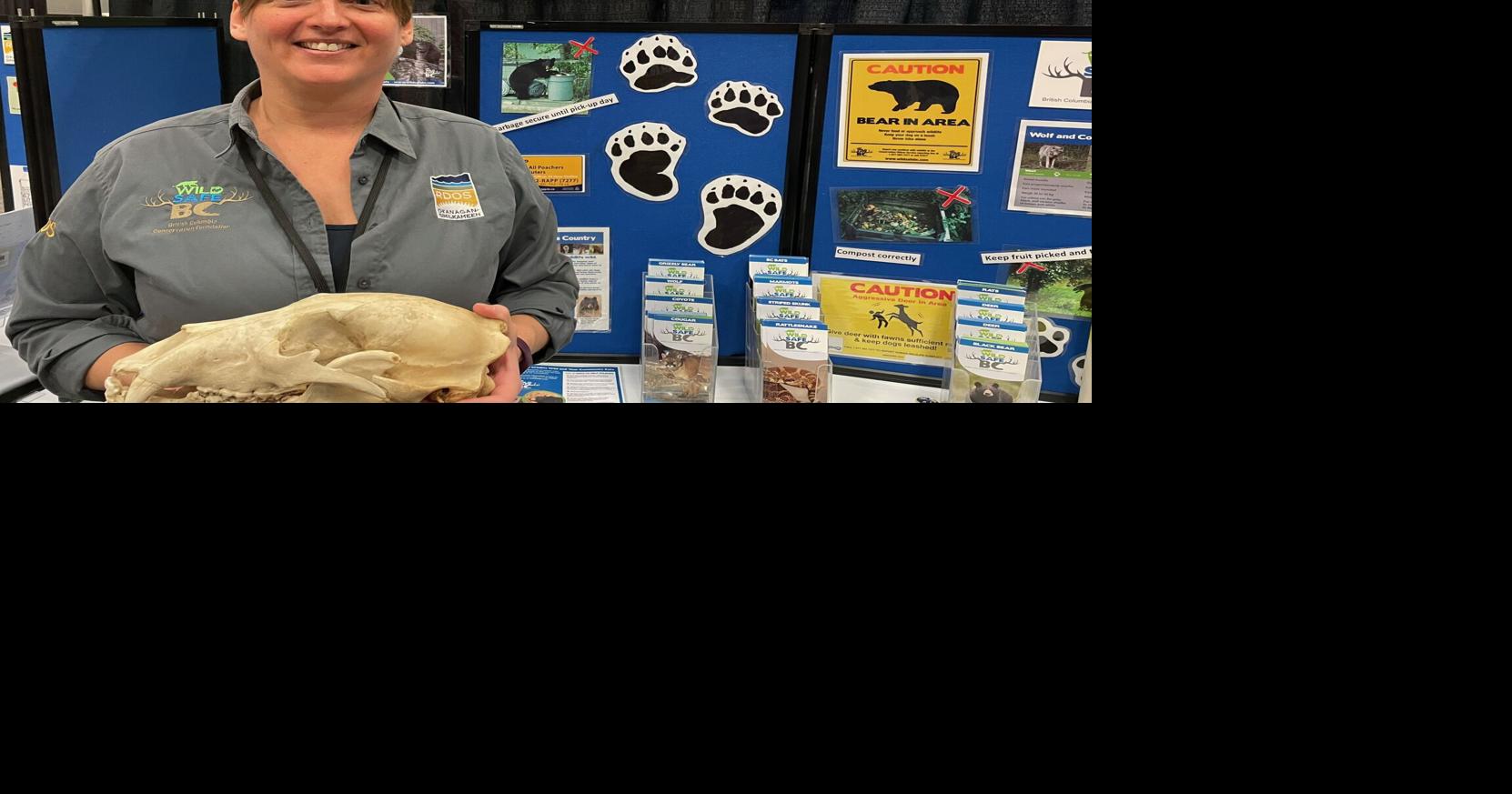 Home and Reno Show begins | News | pentictonherald.ca