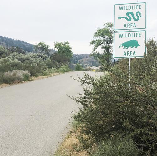 Calling all citizen scientists | News | pentictonherald.ca