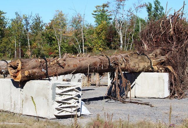 River Institute set to open environmental DNA lab | Spare News ...