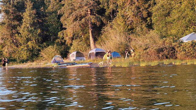 Illegally camping near Tofino could cost you up to $25,000 | Spare News ...