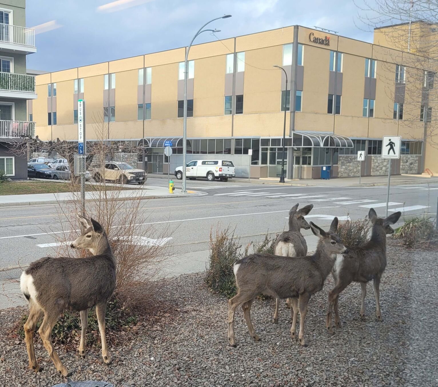 Temperature record may break | News | pentictonherald.ca