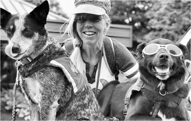 Baa-d to the bone | Life | pentictonherald.ca