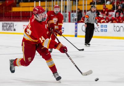 Vees trade D-man, ink new forward | Sports | pentictonherald.ca