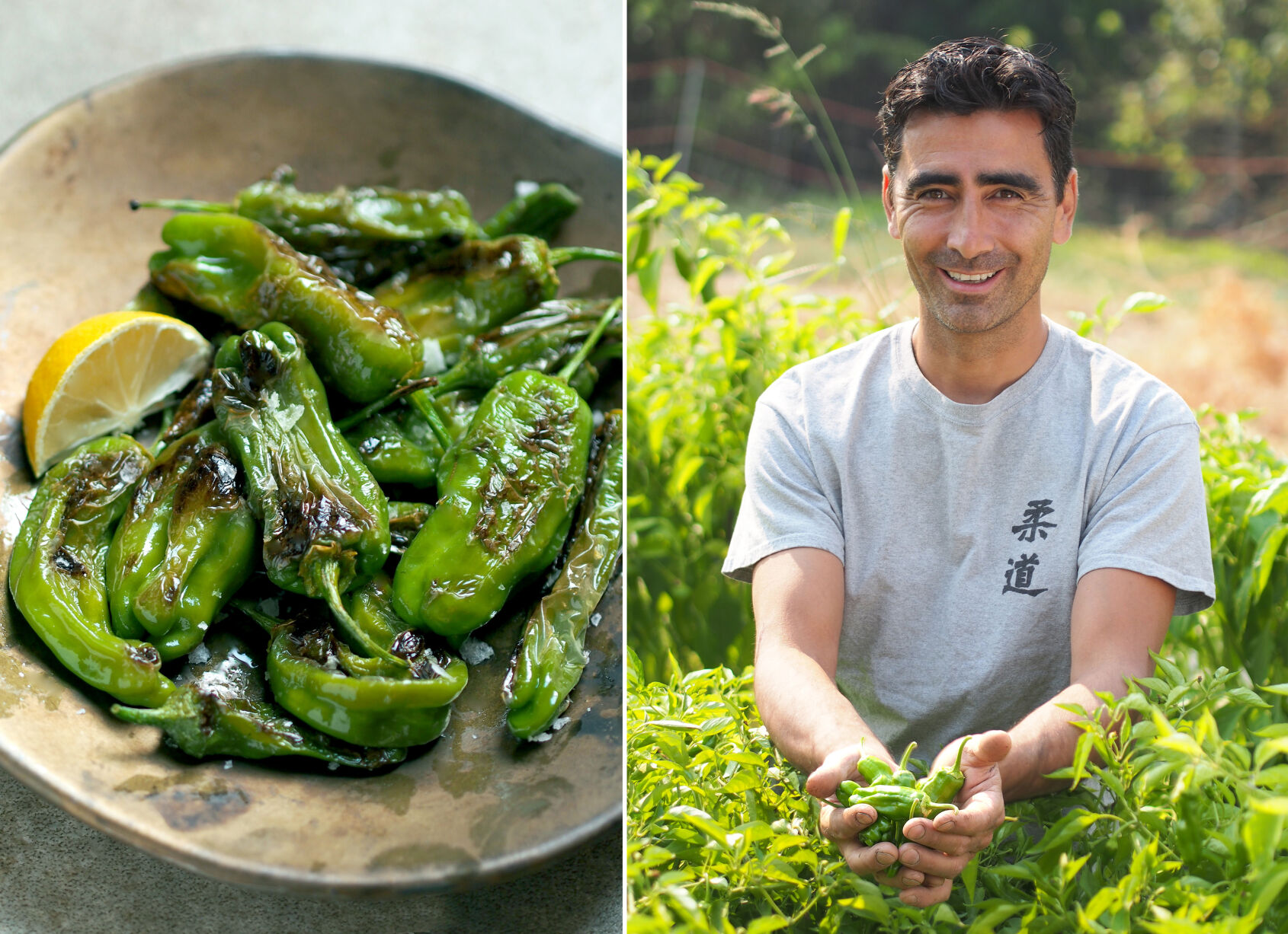 Pecking on shishito peppers | Life | pentictonherald.ca
