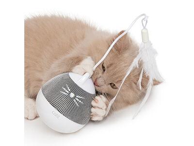 Pixi Spinner Toy | Products | petproductnews.com