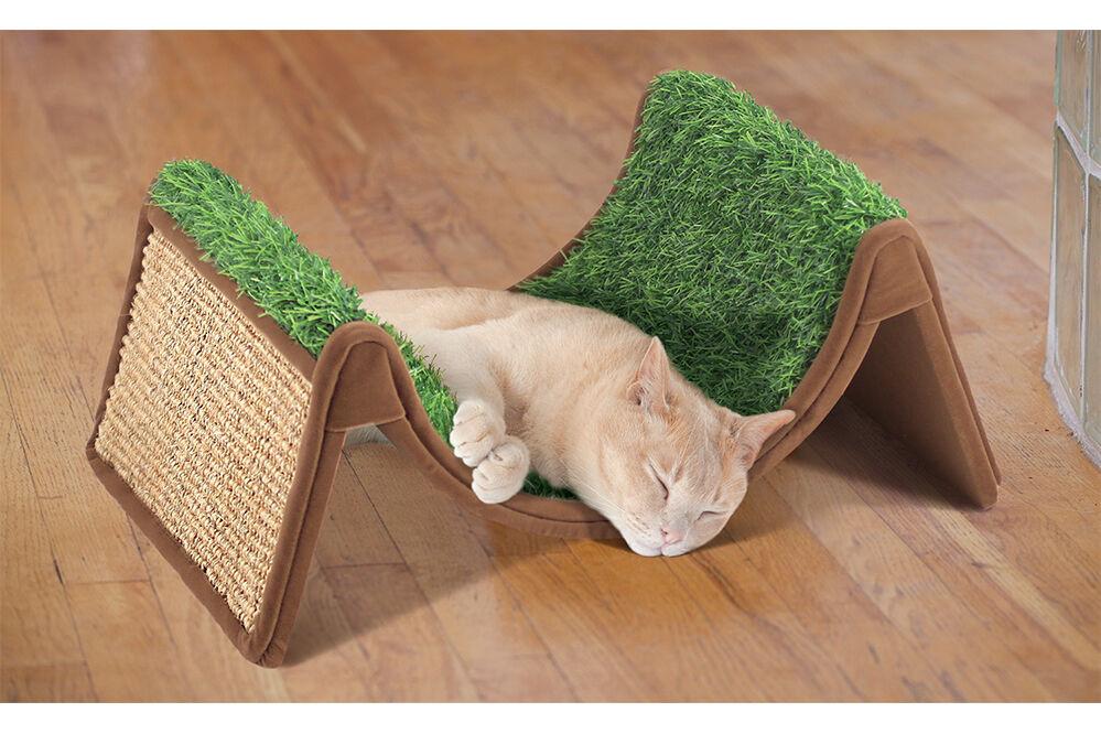 Invironment Scratch N Roll Cat Products 