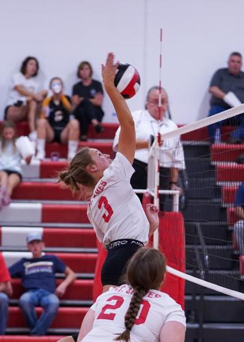 VOLLEYBALL: Lady Tigers winless at Hermann Invitational | Local ...