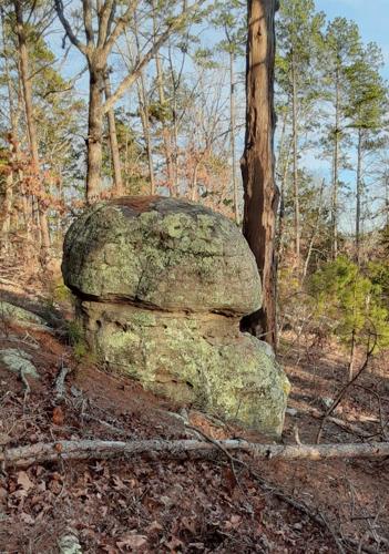 Rolla weather data at 7:30 a.m. Feb. 3-4 (a record set in 1962 was ...