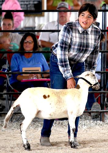 Phelps County says good-bye to Robin Cook | The Focus Insider ...