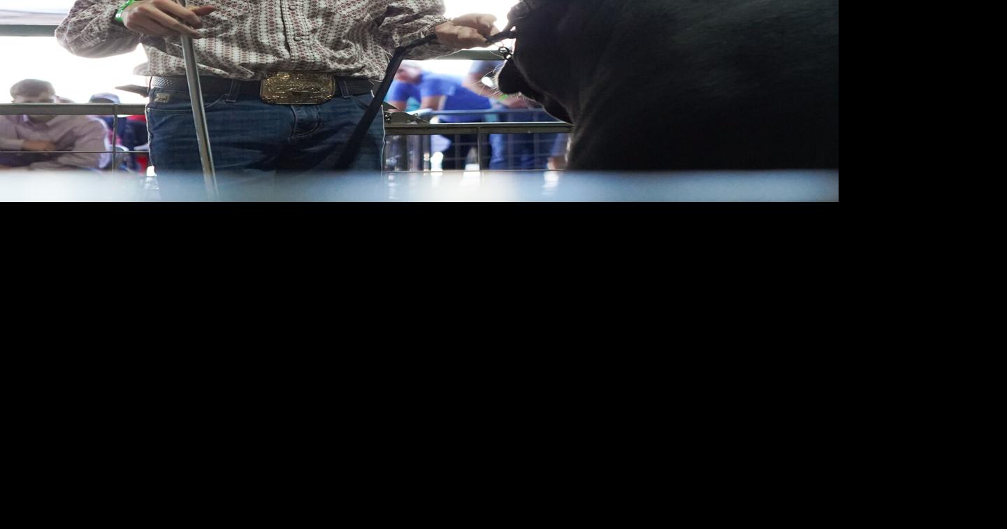 Caden Jenkins | Opinion | phelpscountyfocus.com