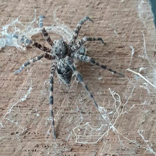 Rolla weather data at 7:30 a.m. Oct. 14-15 | Weather ...