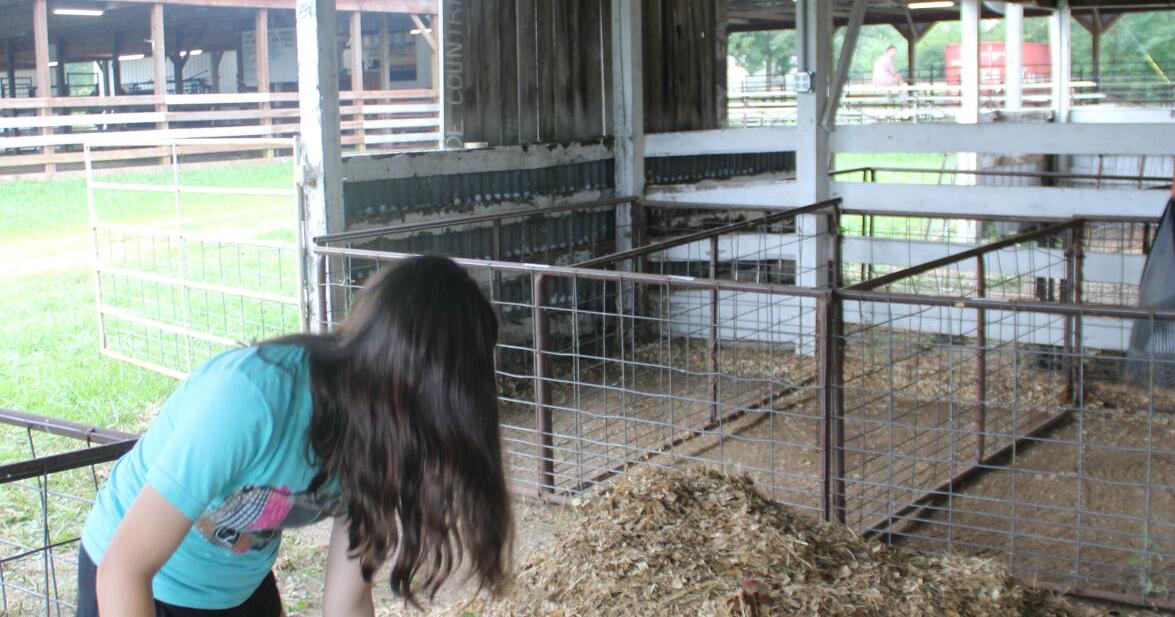 SLIDE SHOW: Prepping for the Phelps County Fair | Multimedia ...