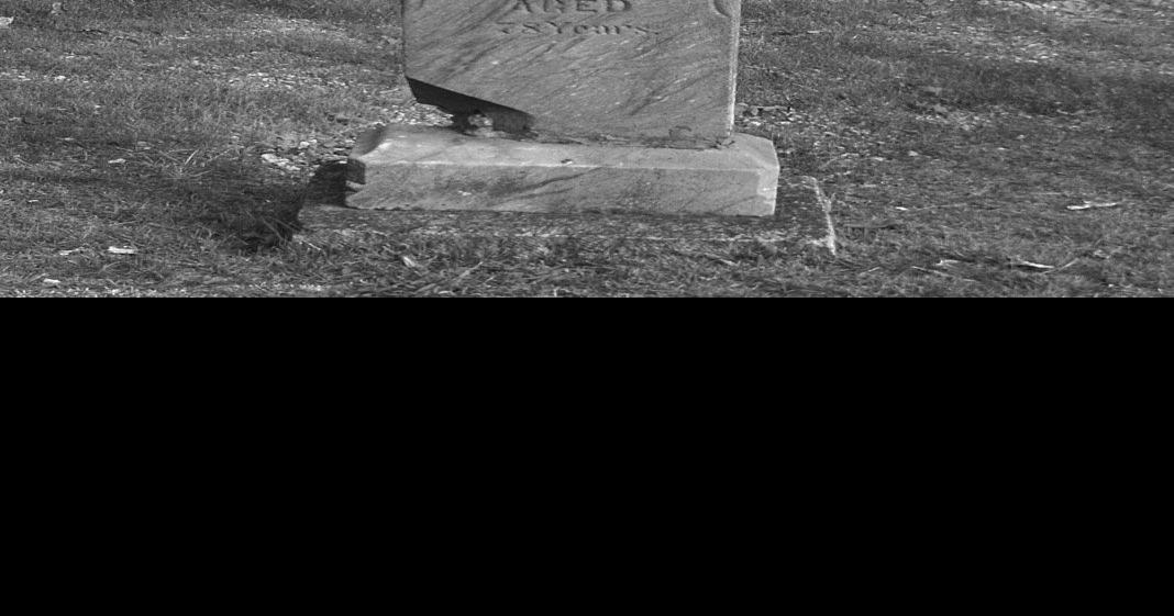 Millie Daugherty: Angel of mercy | The Focus Insider ...