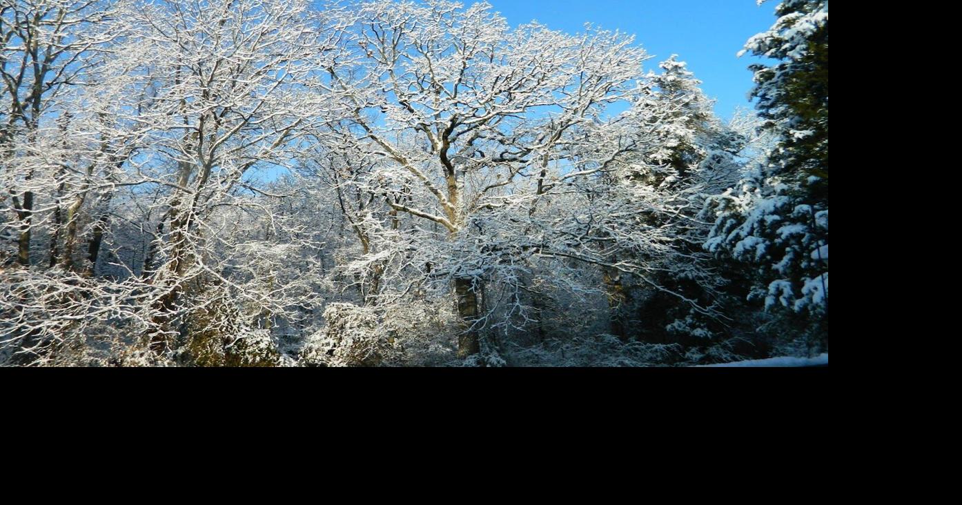 Hot today, even hotter tomorrow, says the weather prognosticator ...