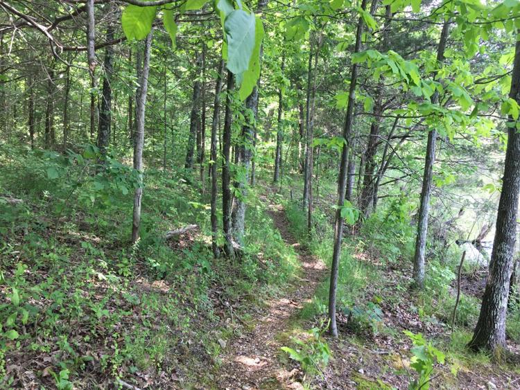 PUBLIC LANDS OF PHELPS COUNTY - Little Prairie Lake Conservation Area ...