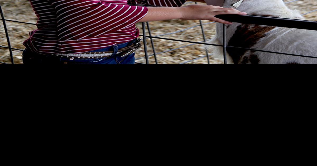 Saturday at the 2019 Phelps County Fair | Featured | phelpscountyfocus.com