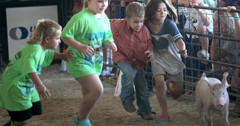 Phelps County Fair set for Aug. 5-7 | The Focus Insider ...